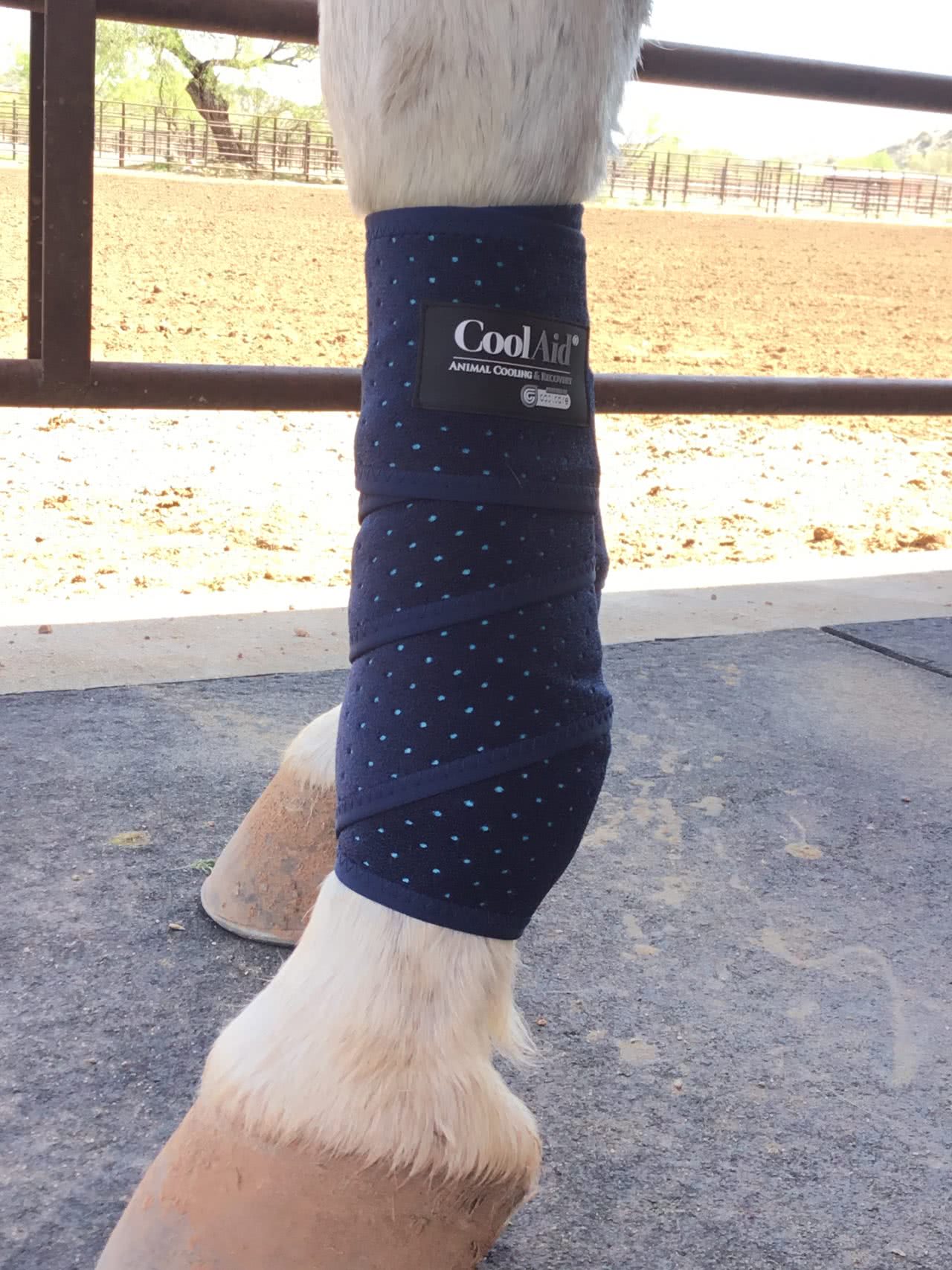 BGWRAP16 – SilverGlide™