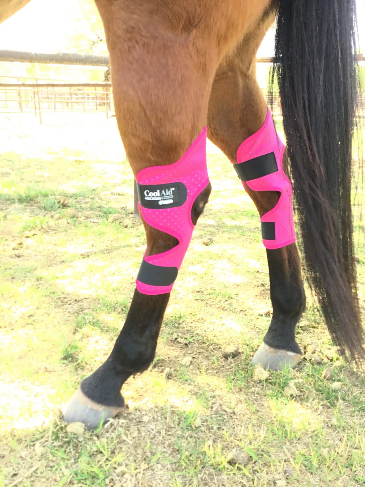 BGHOCK15 – SilverGlide™