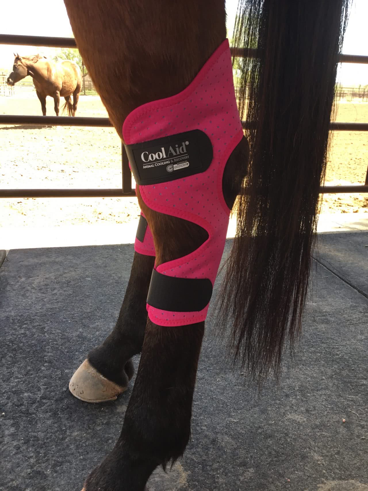 CoolAid,Equine – SilverGlide™