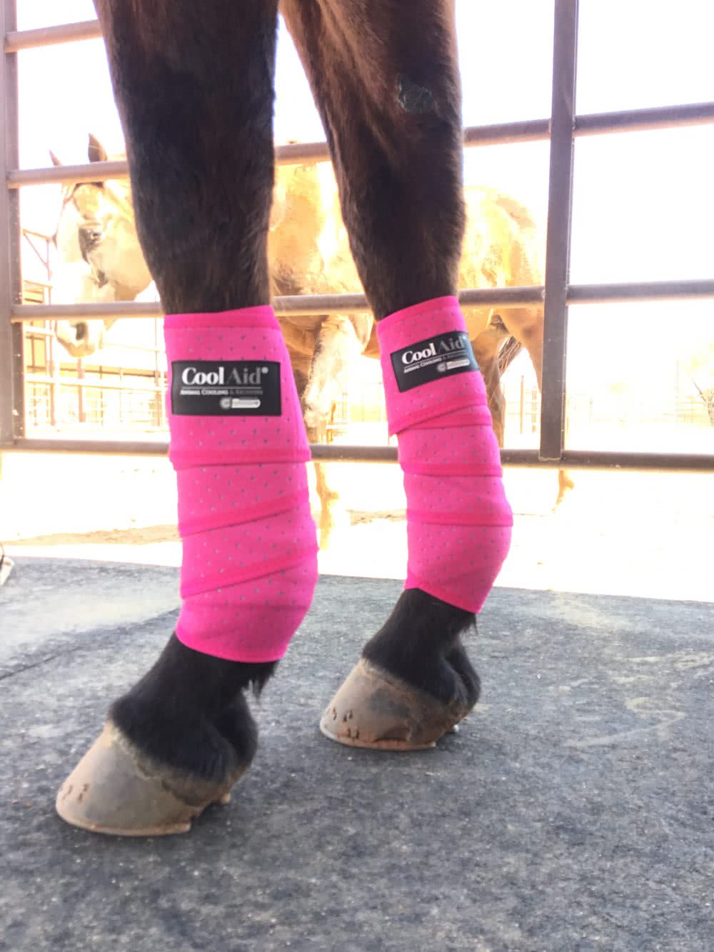 CoolAid,Equine – SilverGlide™