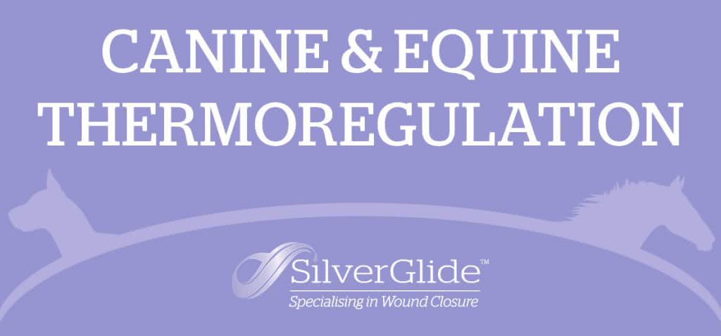 Products – SilverGlide™