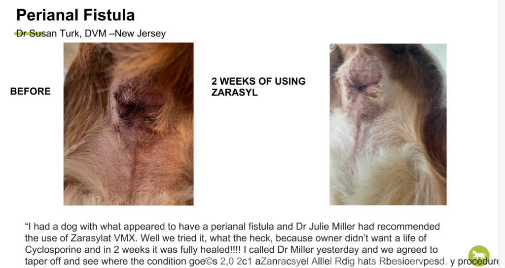 Zarasyl Companion Barrier Cream – SilverGlide™